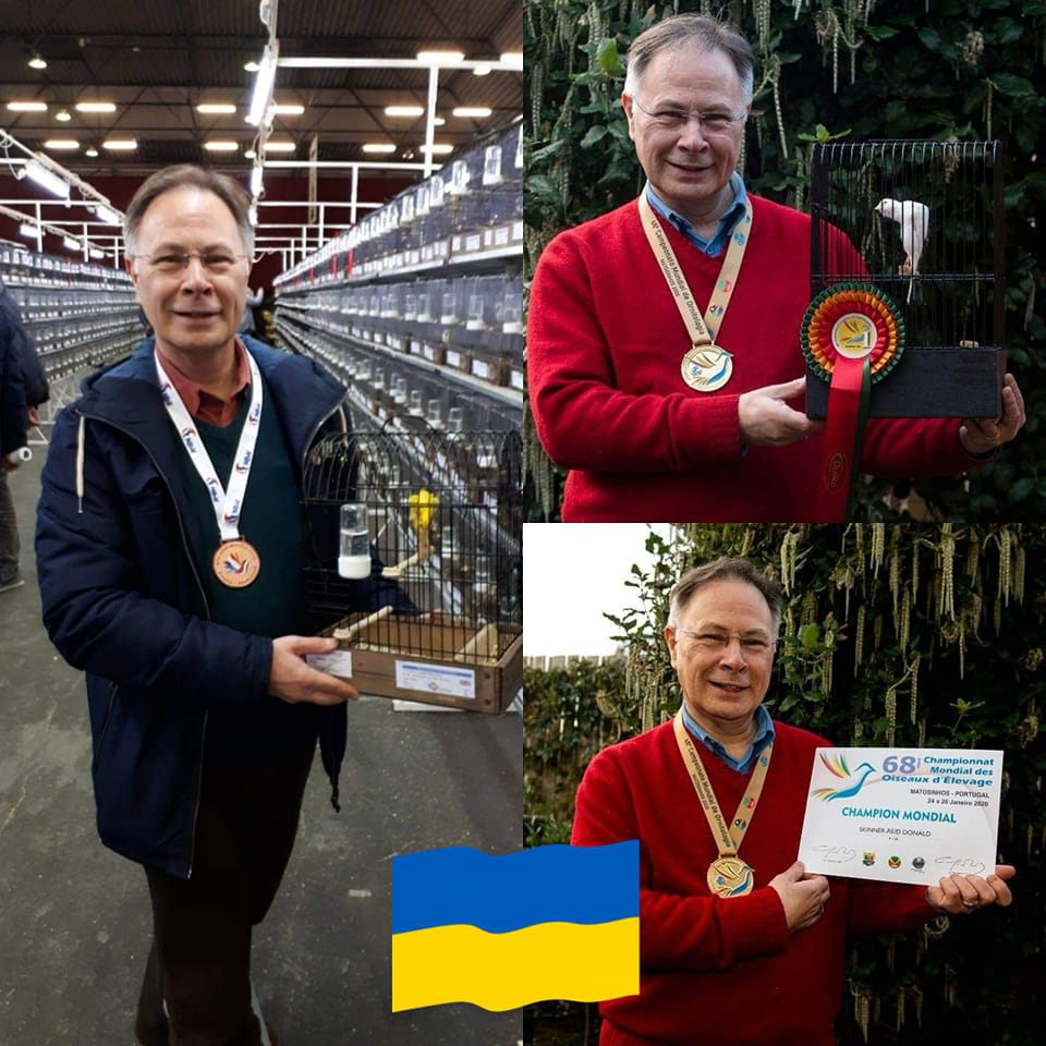 Old & Rare Variety Canaries – Down the Shed